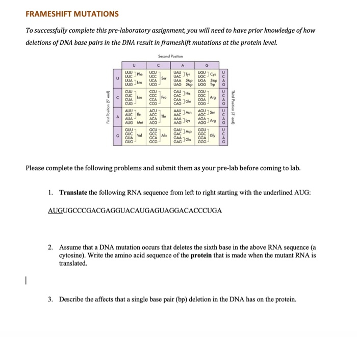 Solved FRAMESHIFT MUTATIONS To successfully complete this | Chegg.com