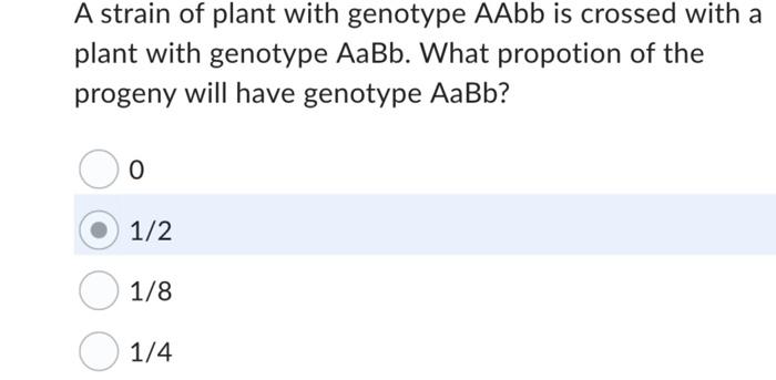 Solved A strain of plant with genotype AAbb is crossed with | Chegg.com