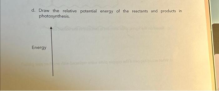 Solved d. Draw the relative potential energy of the | Chegg.com