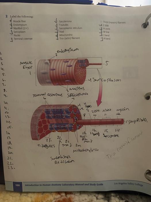 Solved how do you label this diagram | Chegg.com