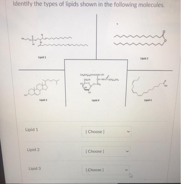 Solved Identify the types of lipids shown in the following | Chegg.com