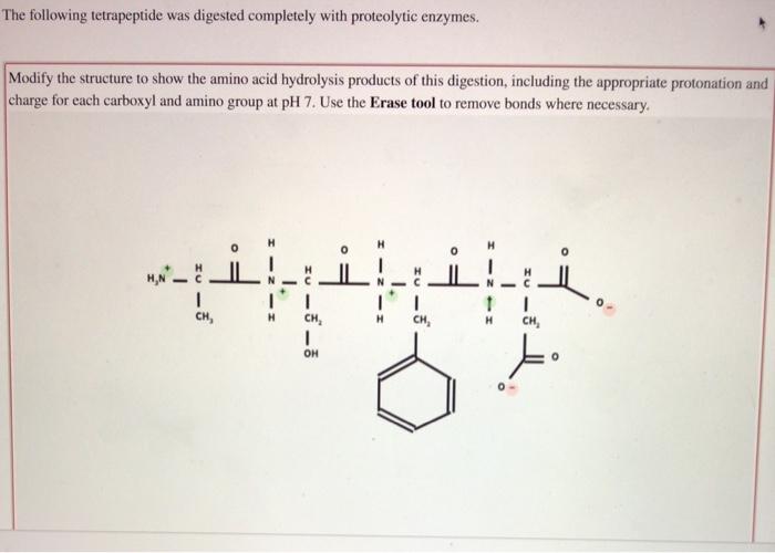 Solved Draw aspartic acid (aspartate) at pH 1. pH 7, and pH | Chegg.com