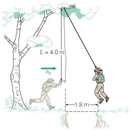 Solved A hiker plans to swing on a rope across a ravine in | Chegg.com