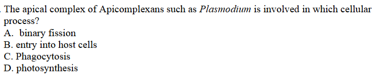 Solved The apical complex of Apicomplexans such as | Chegg.com