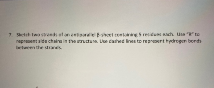 Solved 7. Sketch two strands of an antiparallel B-sheet | Chegg.com