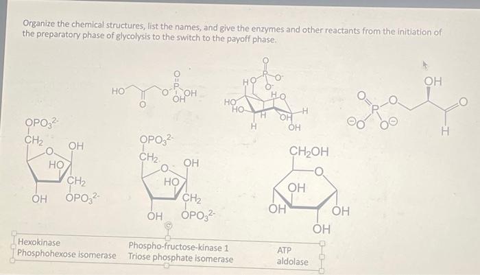 Solved Organize the chemical structures, list the names, and | Chegg.com