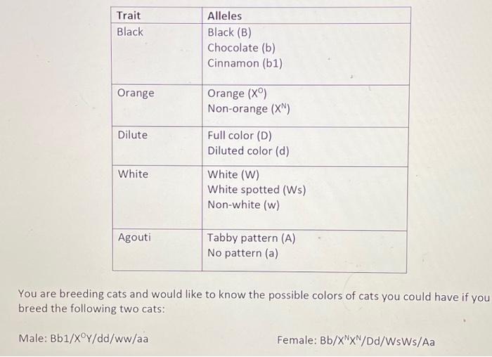 Solved You are breeding cats and would like to know the | Chegg.com