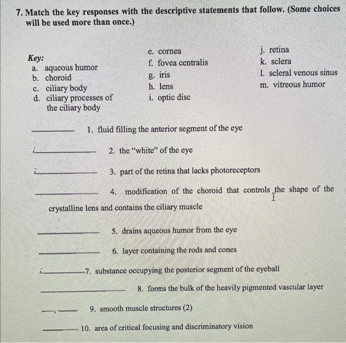 Solved 7. Match the key responses with the descriptive | Chegg.com