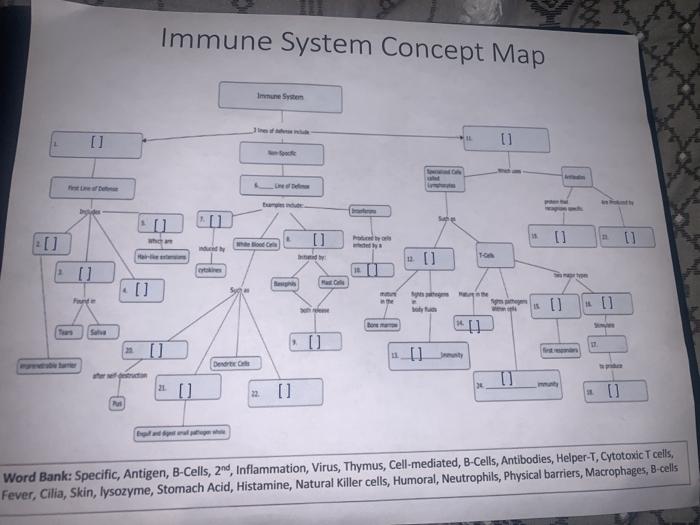 Immune System Concept Map . 11 01 01 [1 01 Il 11 Word | Chegg.com