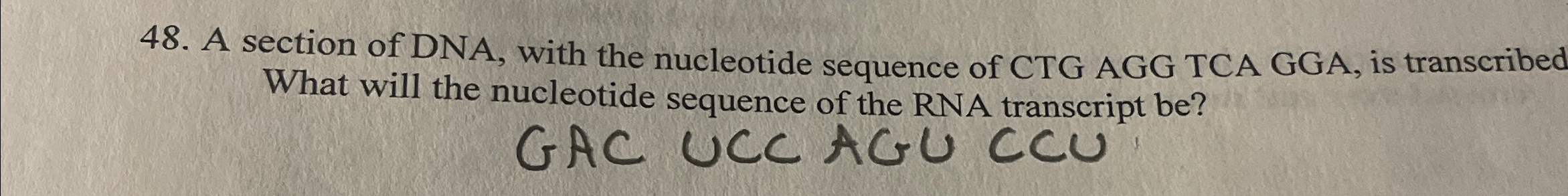Solved A section of DNA, with the nucleotide sequence of CTG | Chegg.com
