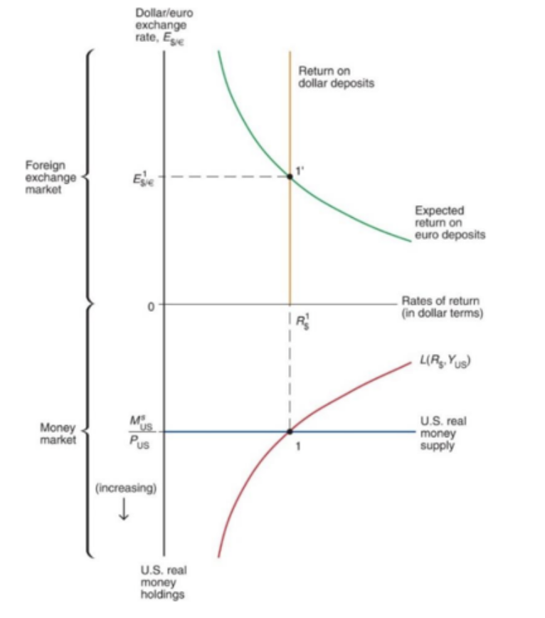 Solved Using the following graph, describe and show what | Chegg.com