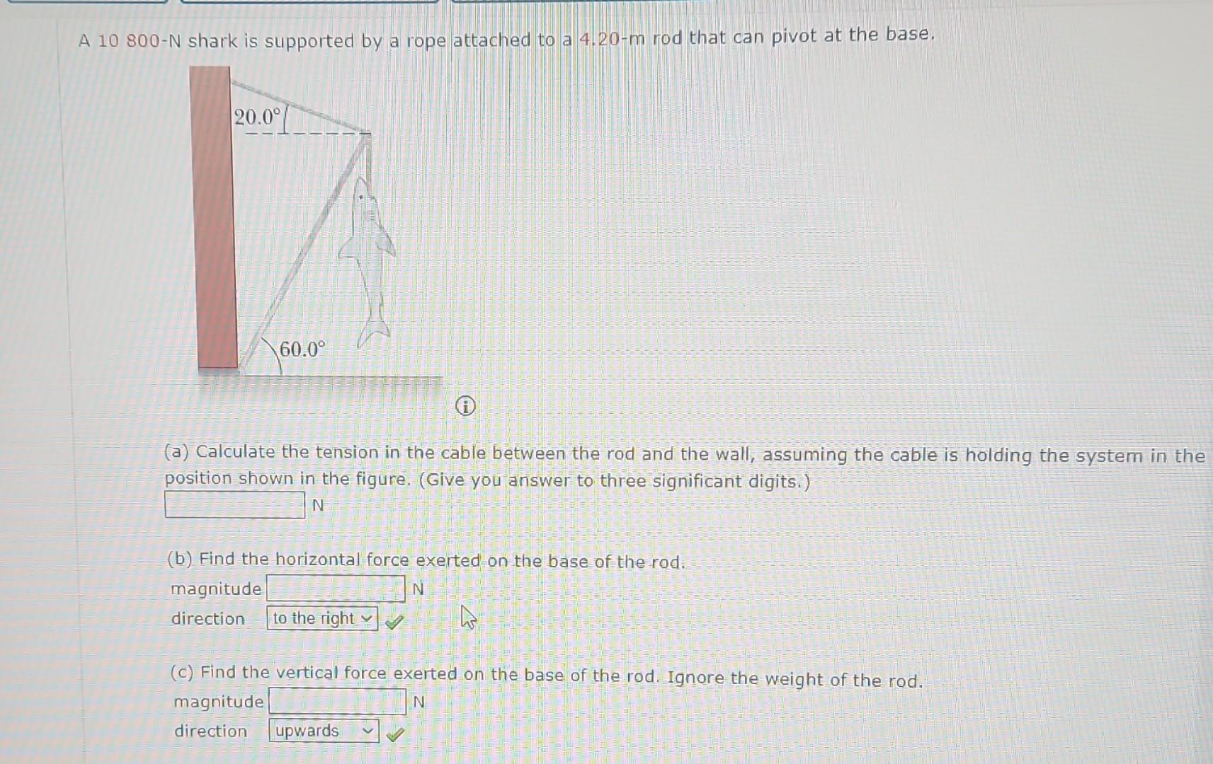 Solved A 10800−N shark is supported by a rope attached to a | Chegg.com