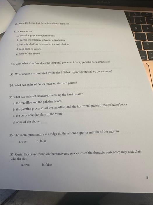 Solved 3a Name the bones that form the auditory ossieles? | Chegg.com