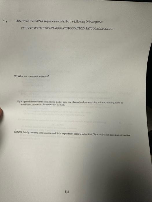 Solved Determine the mRNA sequence encoded by the following | Chegg.com