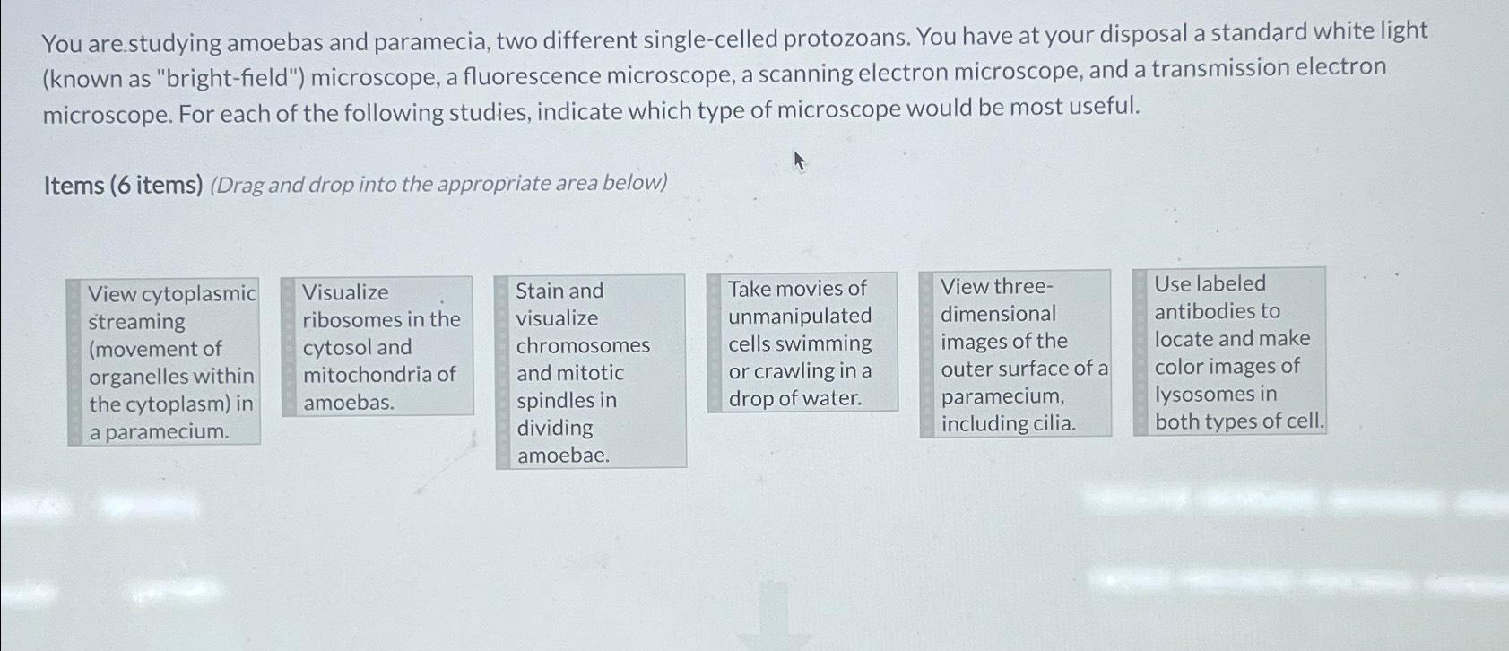 Solved You arestudying amoebas and paramecia, two different | Chegg.com