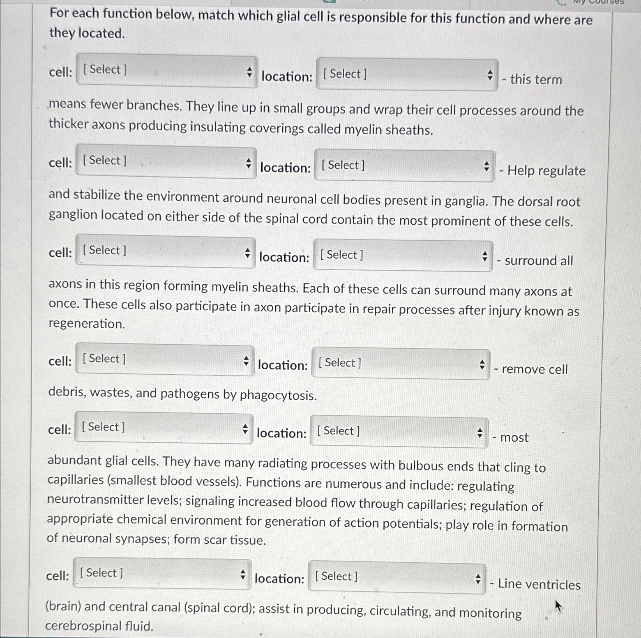 Solved For each function below, match which glial cell is | Chegg.com