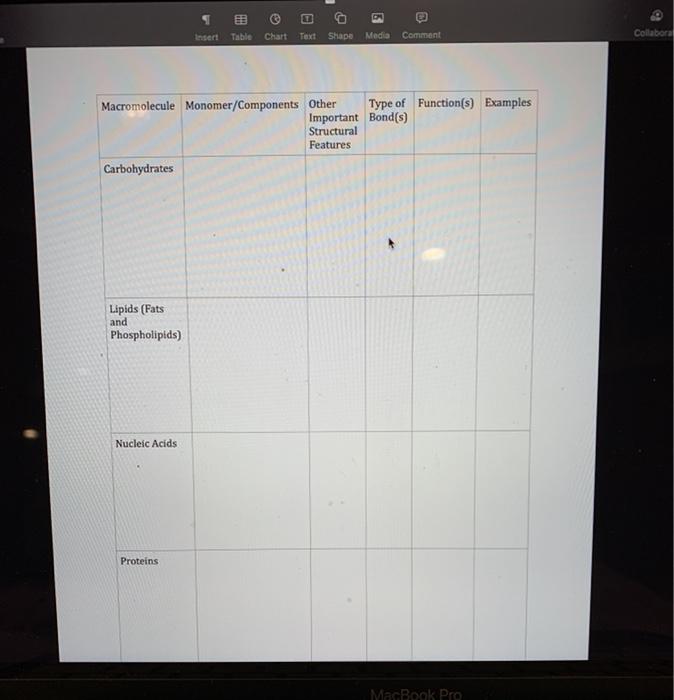 Solved Insert Table Chart Text Shape Media Comment Collabora | Chegg.com