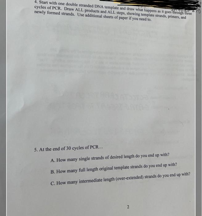 Solved 4. Start with one double stranded DNA template and | Chegg.com