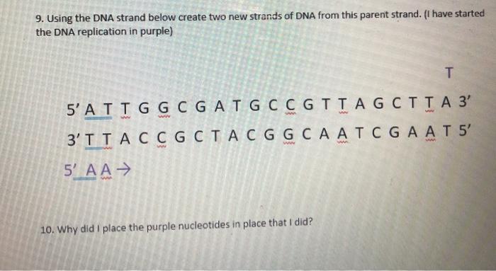 Solved 9. Using the DNA strand below create two new strands | Chegg.com