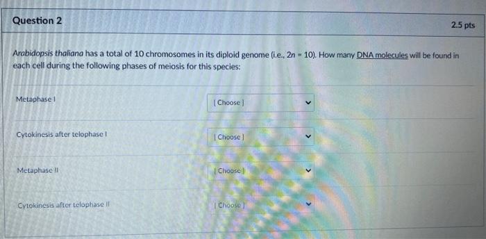 Solved Arabidopsis thaliana has a total of 10 chromosomes in | Chegg.com