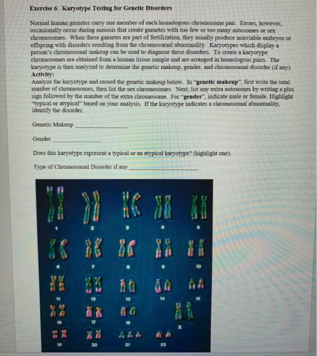 Solved Exercise 6: Karyotype Testing for Genetic Disorders | Chegg.com