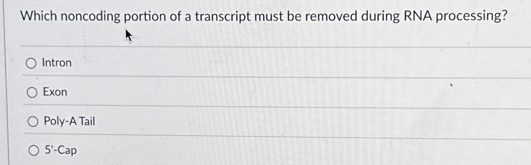 Solved Which noncoding portion of a transcript must be | Chegg.com
