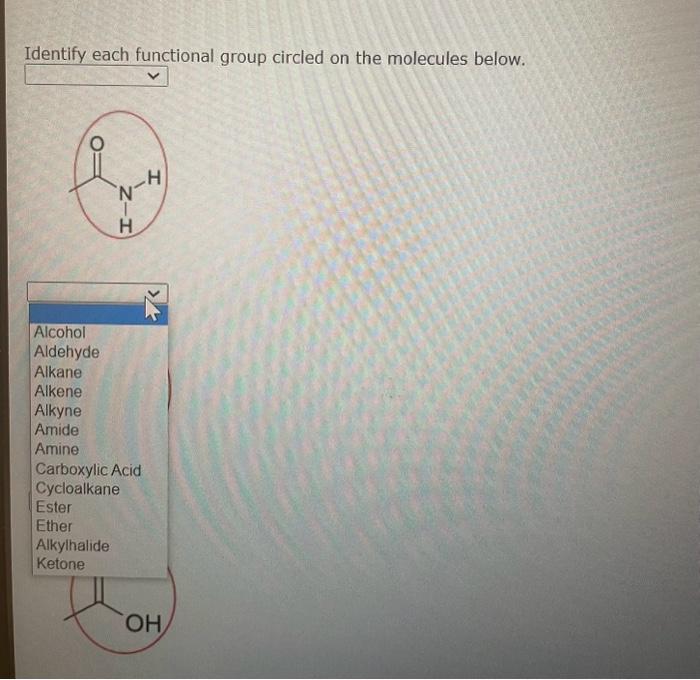 Solved Identify each functional group circled on the | Chegg.com