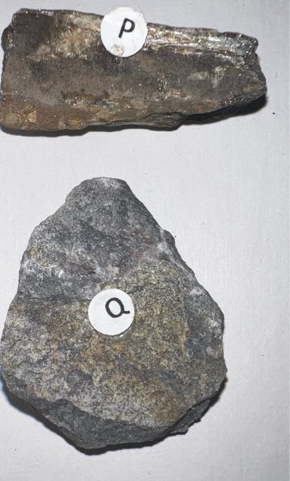 Solved 2000( )1. A possible protolith for Sample M is: a. | Chegg.com