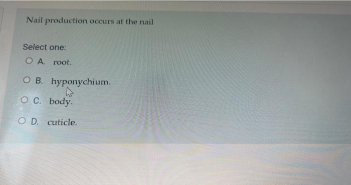 Solved Nail production occurs at the nail Select one: O A. | Chegg.com