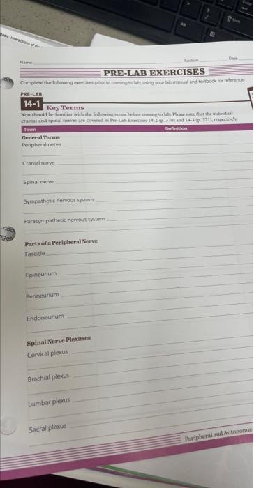 Solved PRE-LAB EXERCISES per-LAE 14-1 Khey Texms Jem: | Chegg.com