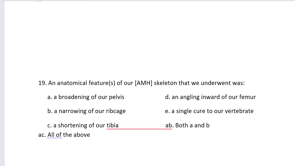 Solved An anatomical feature(s) ﻿of our AMH skeleton that we | Chegg.com