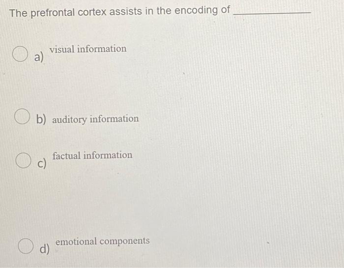 Solved The prefrontal cortex assists in the encoding of a) | Chegg.com
