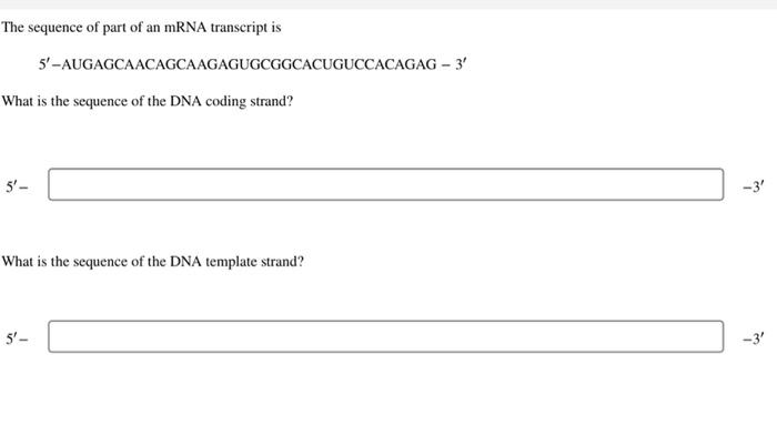 Solved The sequence of part of an mRNA transcript is | Chegg.com
