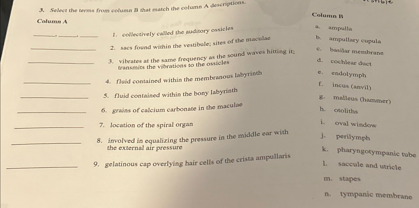 Solved Select the terms from column B that match the column | Chegg.com