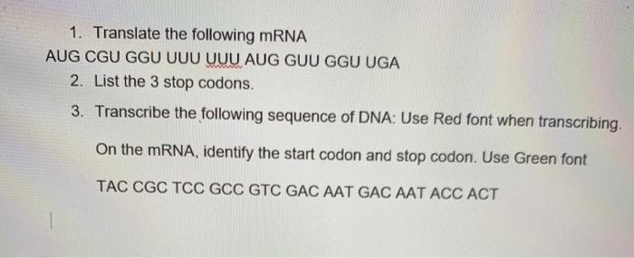 Solved 1. Translate the following mRNA AUG CGU GGU UUU UUU | Chegg.com