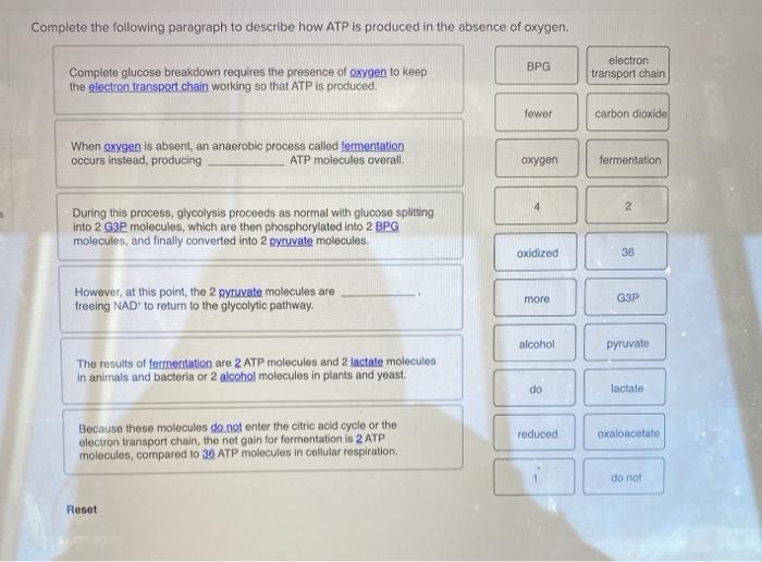 Solved Complete the following paragraph to describe how ATP | Chegg.com