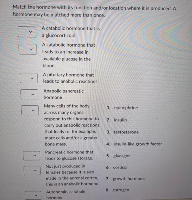 Solved Match the hormone with its function and/or location | Chegg.com