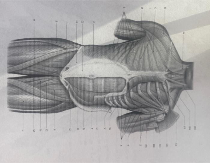 Solved please label | Chegg.com