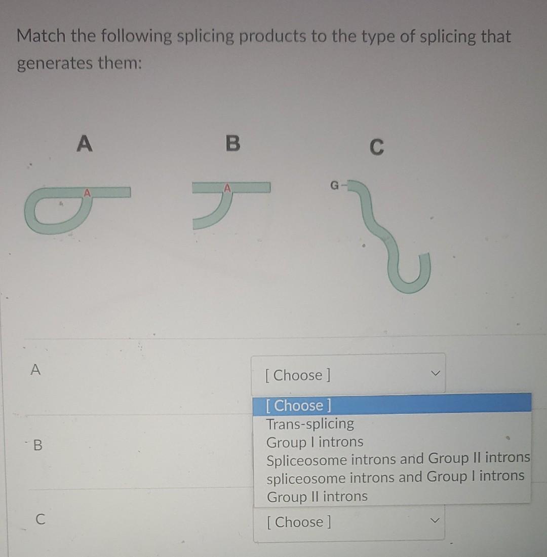 Solved Can someone please match the following splicing | Chegg.com