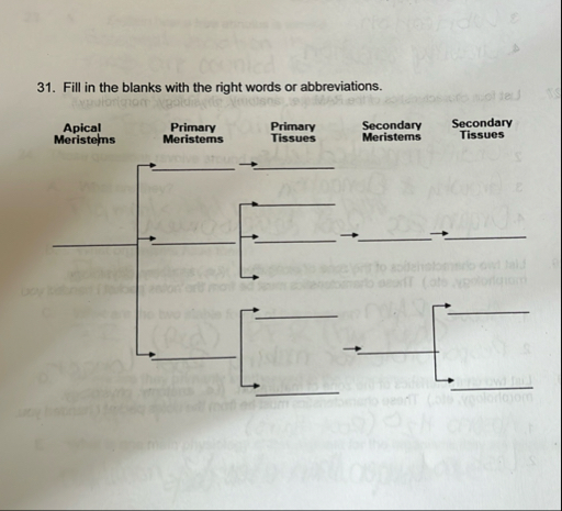 Solved Fill in the blanks with the right words or | Chegg.com