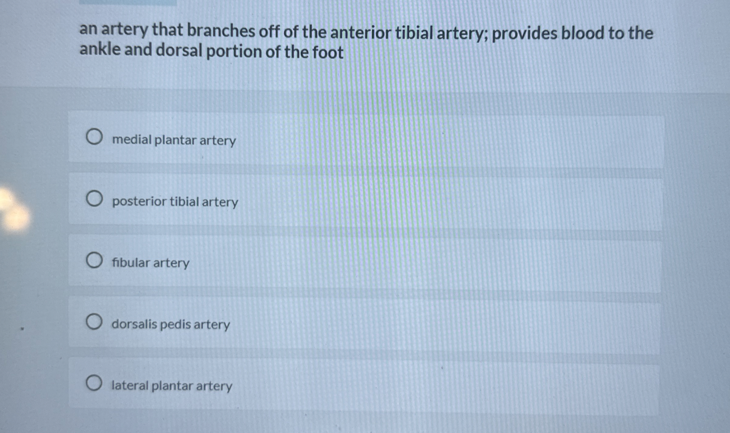 Solved an artery that branches off of the anterior tibial | Chegg.com