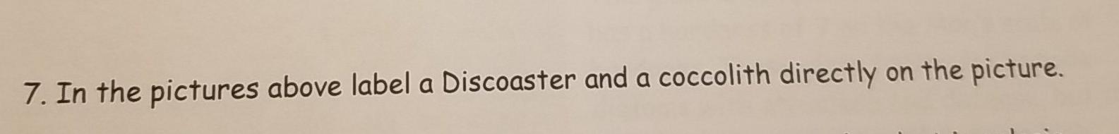 Solved 2um 7. In the pictures above label a Discoaster and | Chegg.com