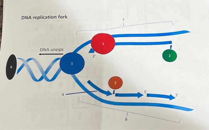 Solved label all parts/ processes | Chegg.com