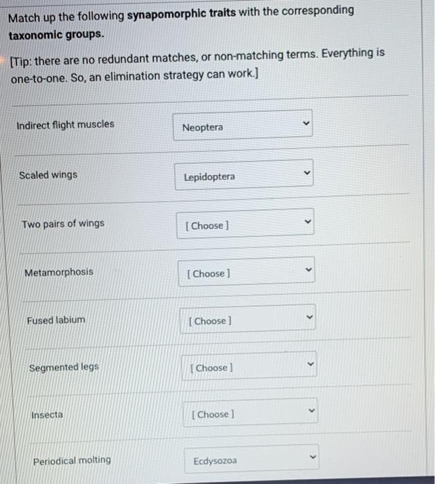 Solved Match up the following synapomorphic traits with the | Chegg.com