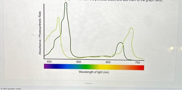 Solved Analysis of Chlorophyll a and Chlorophyll b graph | Chegg.com