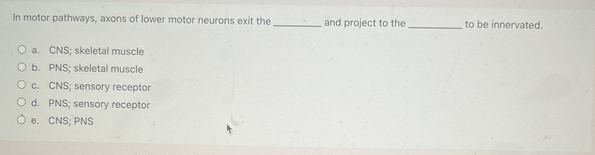 Solved In motor pathways, axons of lower motor neurons exit | Chegg.com