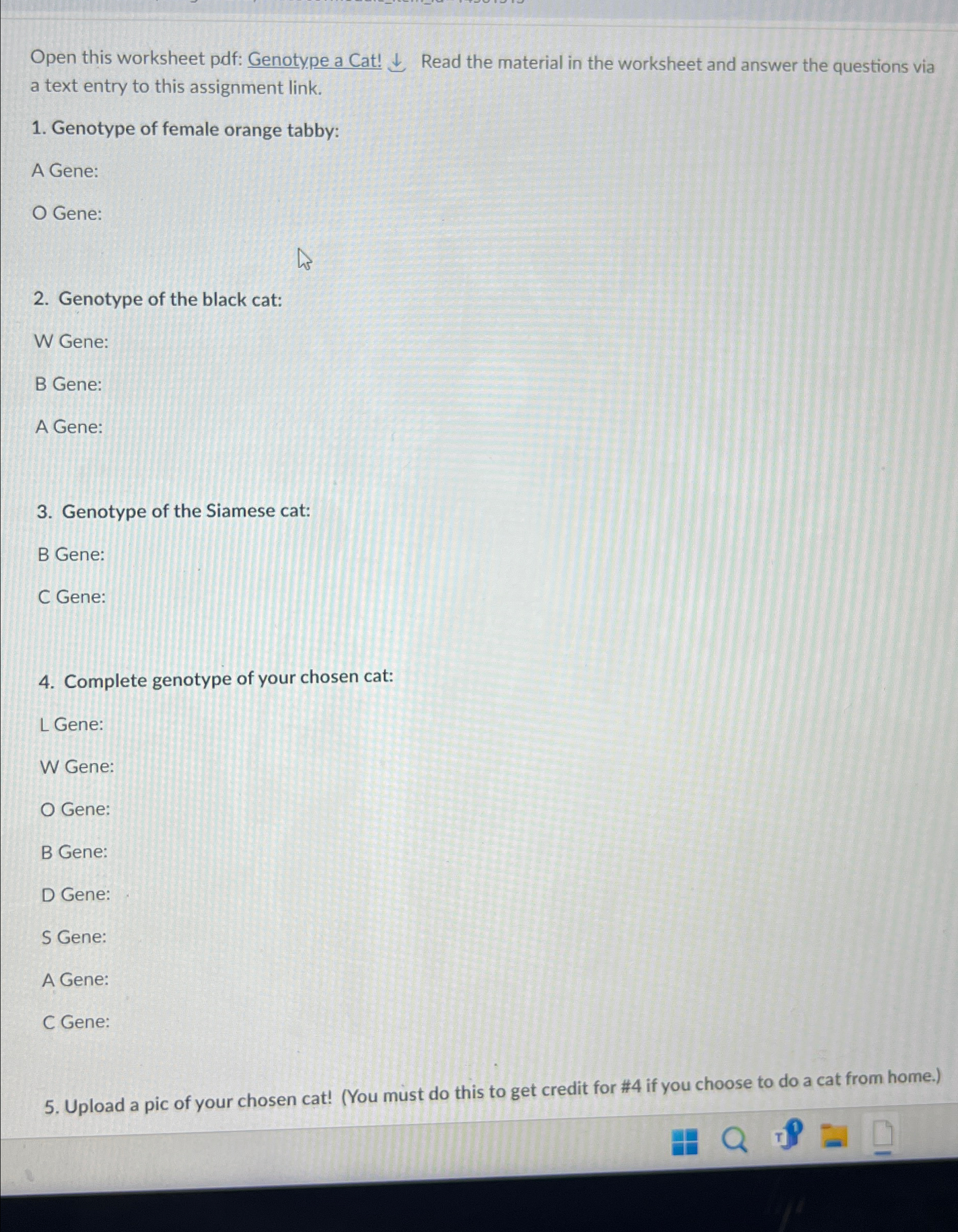 Open this worksheet pdf: Genotype a Cat! darr Read | Chegg.com