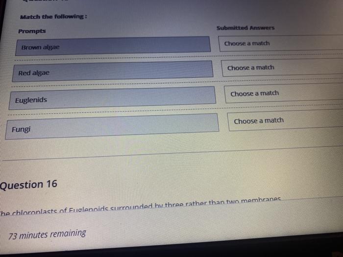 Solved Match the following: Submitted Answers Prompts Choose | Chegg.com