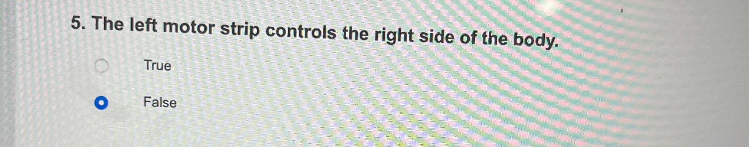 Solved The left motor strip controls the right side of the | Chegg.com