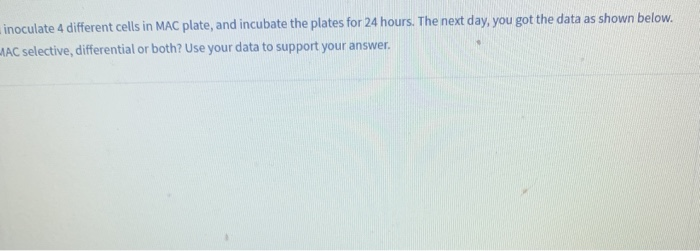 Solved inoculate 4 different cells in MAC plate, and | Chegg.com